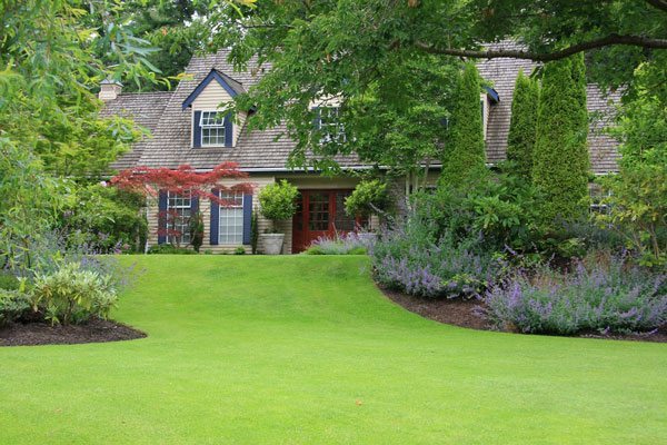 What You Need to Know About Empire Zoysia Turf | Glenview Turf
