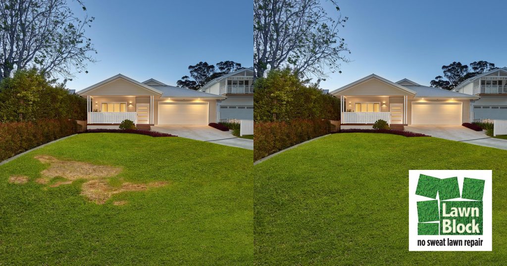 Instant Lawn Repair by Lawn Block - Glenview Turf Suppliers