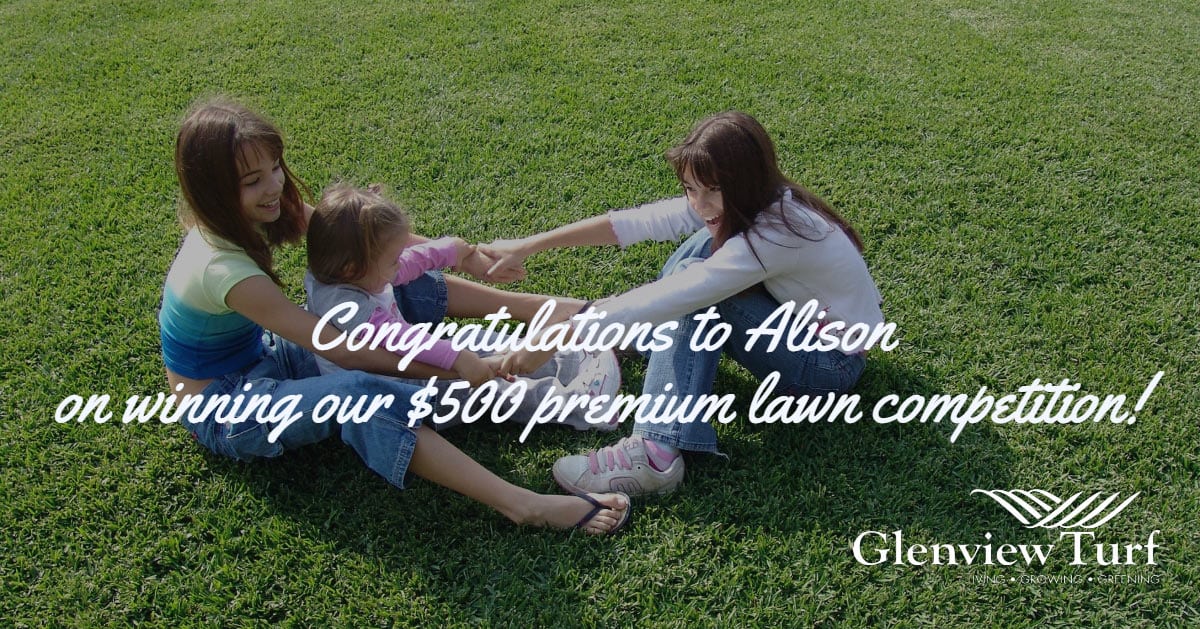 Congratulations to Alison on winning competition