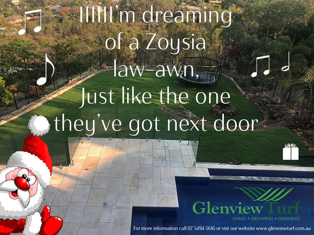 If you want to get your Zoysia lawn in time for Christmas